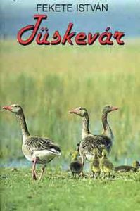 Fekete István: Tüskevár olvasónapló ⋆ Tudtad? 2026